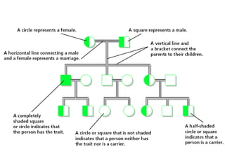 Pedigree Charts.ppt