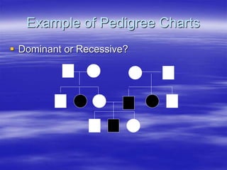 Pedigree Charts.ppt
