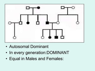 Pedigree Charts.ppt