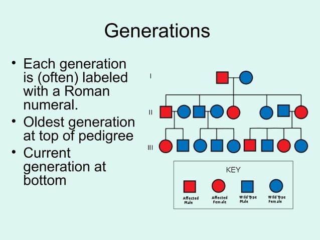 Pedigree Charts and pedigree analysis.ppt