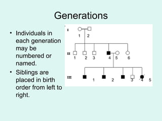 Pedigree Charts and pedigree analysis.ppt