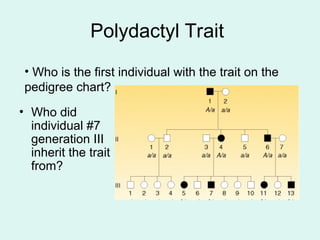 Pedigree Charts and pedigree analysis.ppt