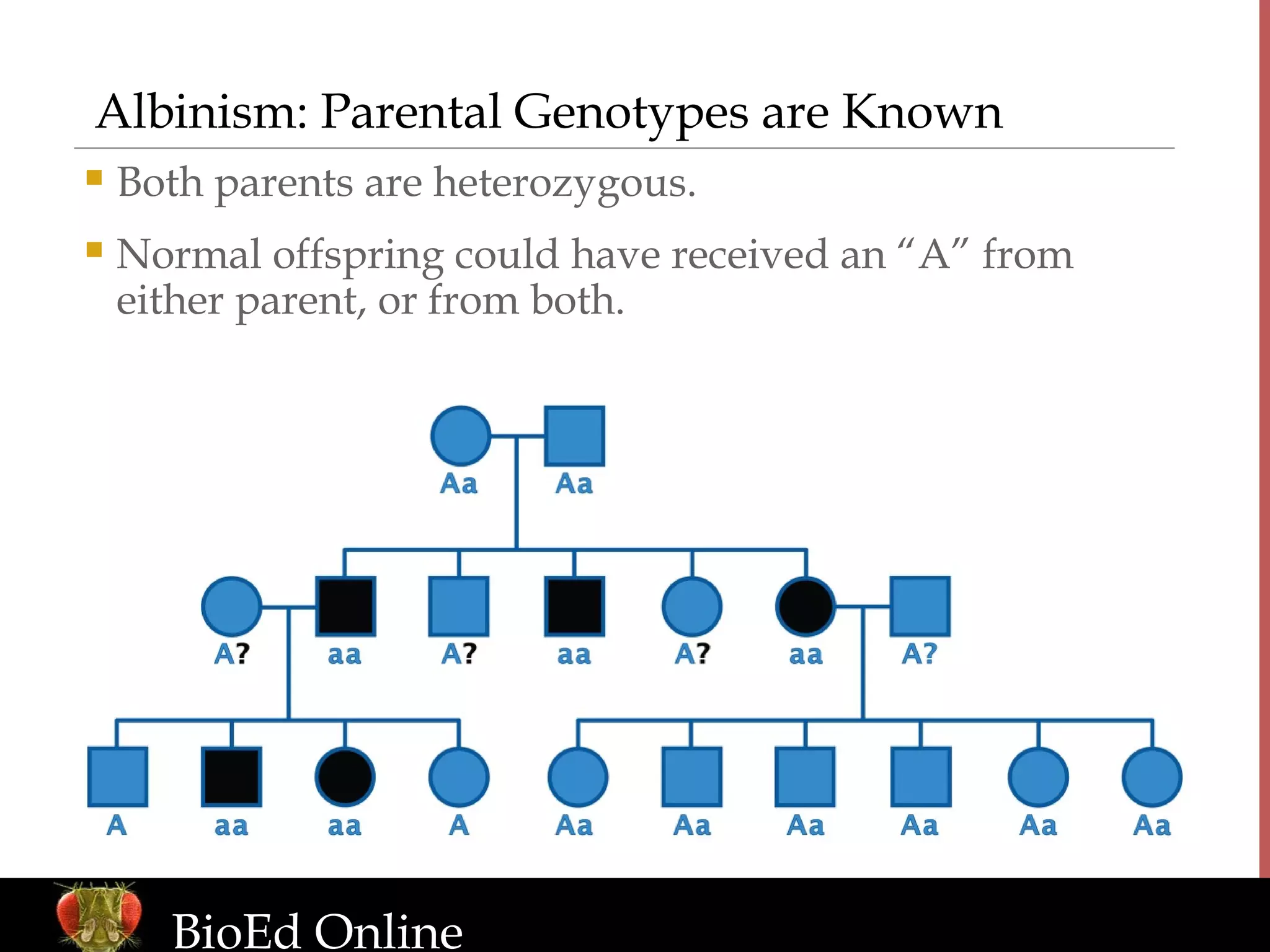 Pedigree examples | PPT