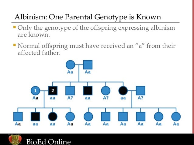 Human Pedigree Examples