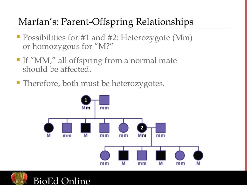 Pedigree examples
