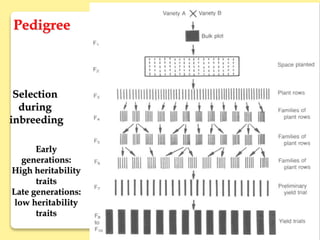 Pedigree method | PPT