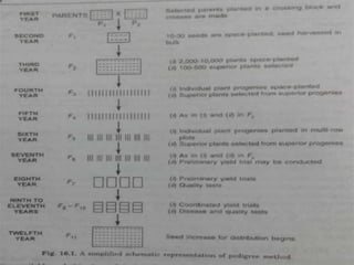 Pedigree method | PPT