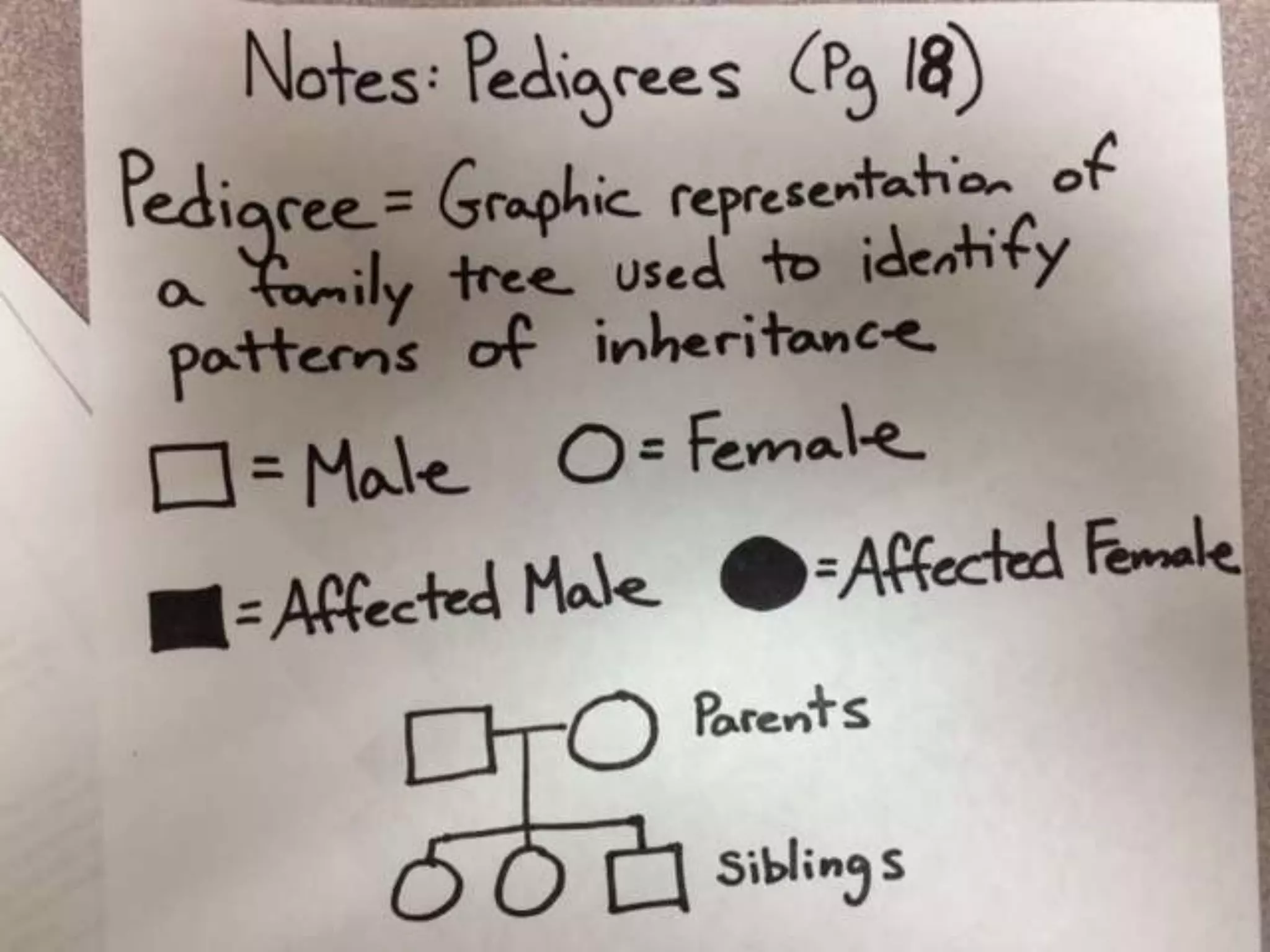 Pedigree notes | PPT