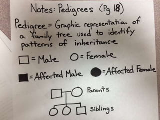 Pedigree notes | PPTX