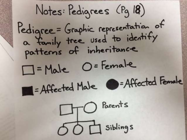 Pedigree notes | PPTX