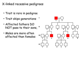 Pedigree presentation | PPT