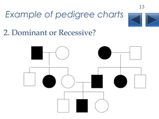 Pedigrees Lecture | PPT | Genetics | Science