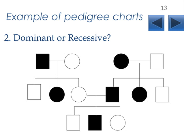 Pedigrees Lecture | PPT | Genetics | Science
