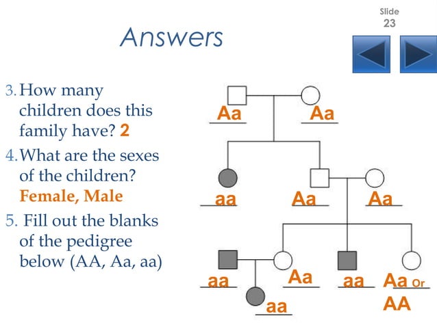 Pedigrees Lecture | PPT | Genetics | Science