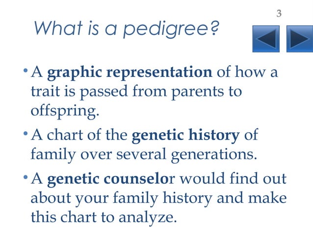 Pedigrees Lecture | PPT | Genetics | Science