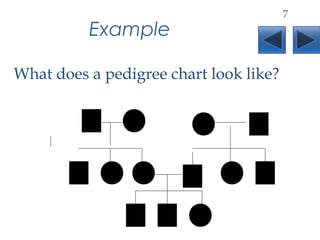 Pedigrees Lecture | PPT