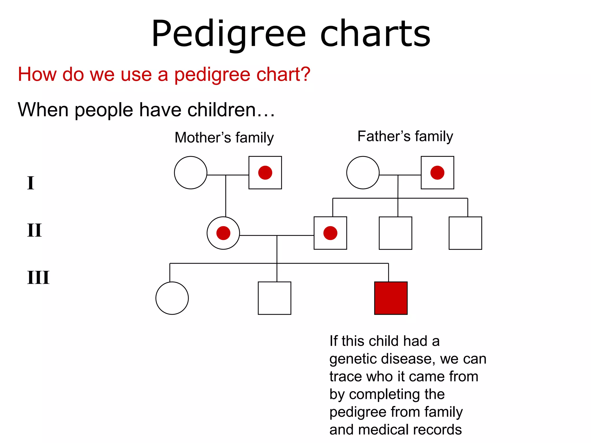 Pedigrees lesson | PPT