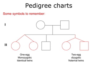 Pedigrees lesson | PPT | Genealogy and Ancestry | Hobbies & Interests