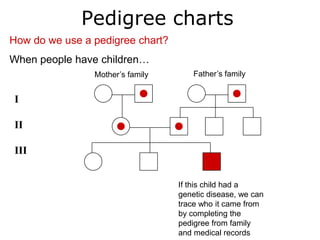 Pedigrees lesson | PPT