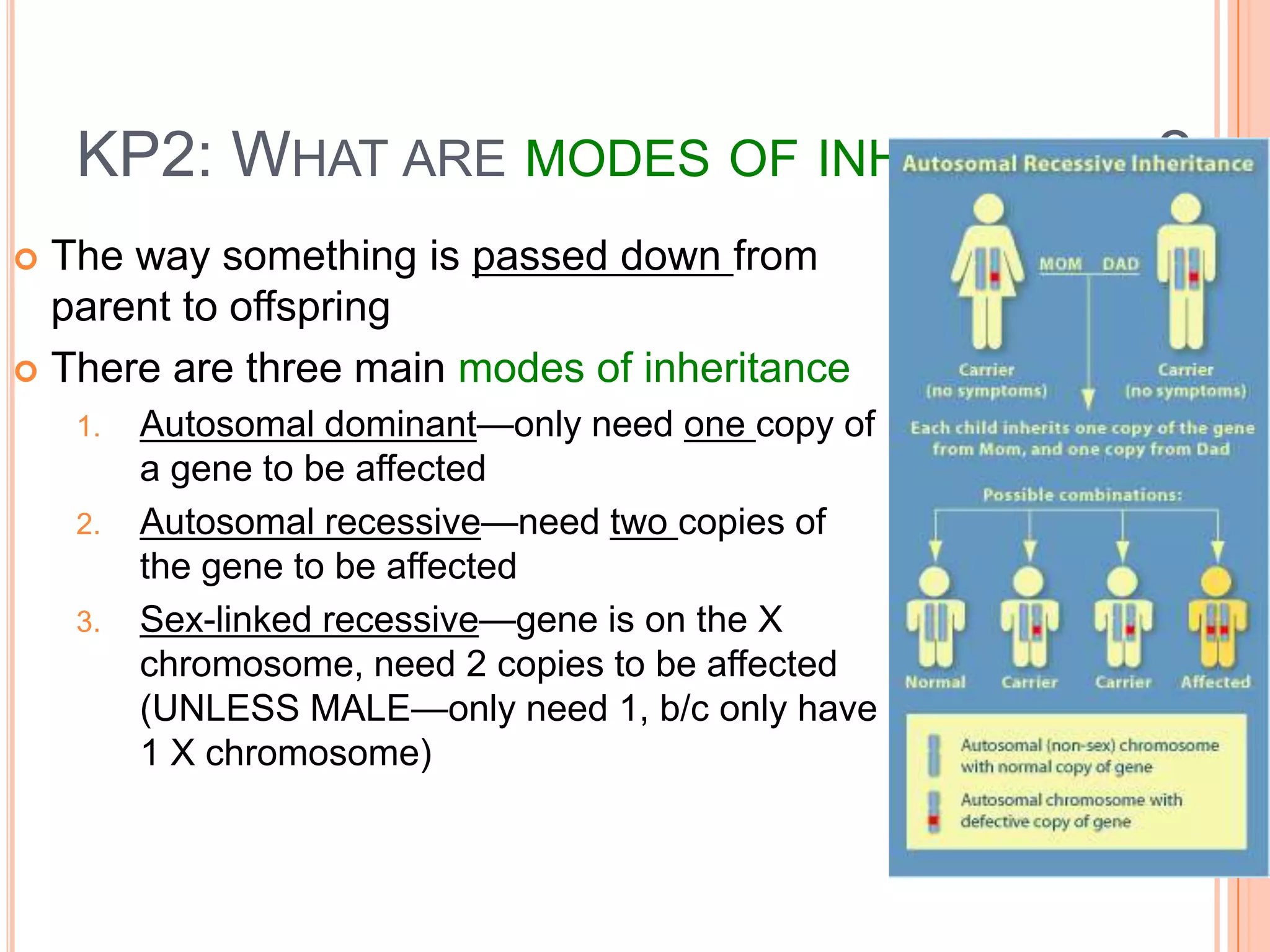 Pedigrees ppt notes full | PPTX