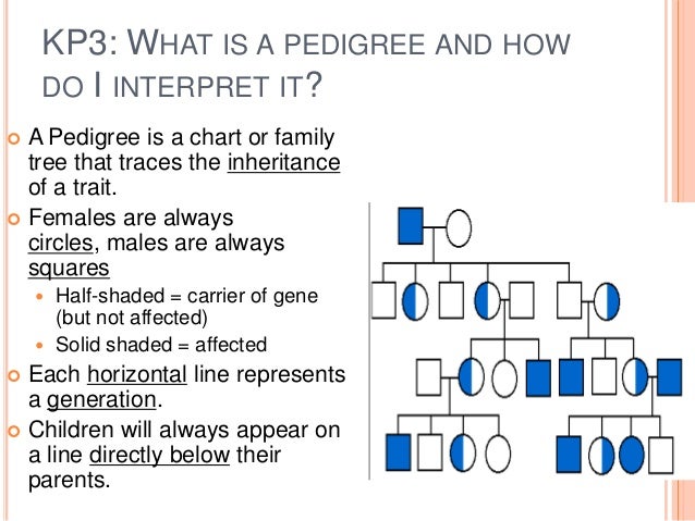 Pedigrees ppt notes full
