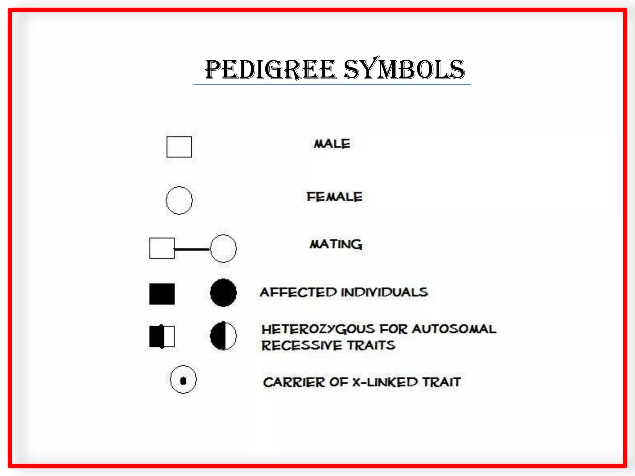 Pedigrees Slideshow | PPTX