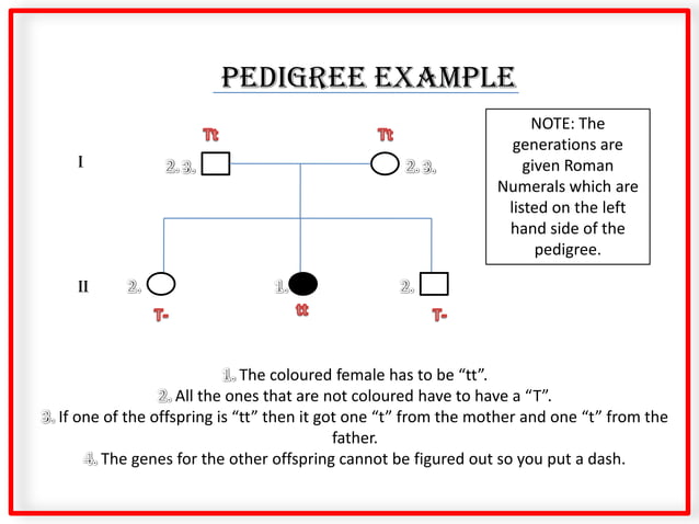 Pedigrees Slideshow | PPT