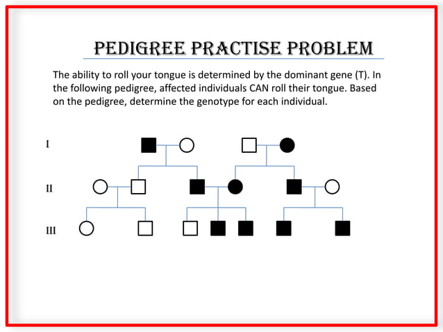 Pedigrees Slideshow | PPT