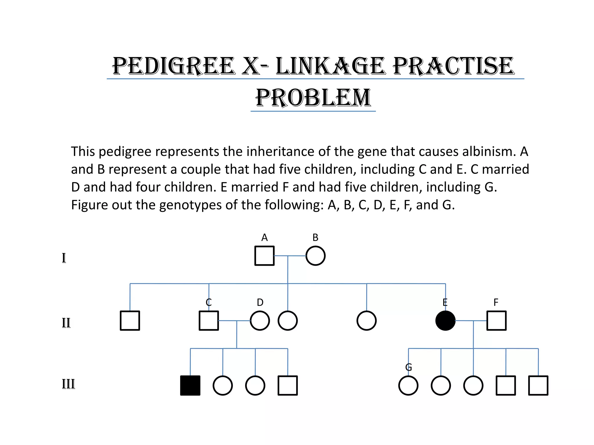 Pedigree Basics! | PPTX