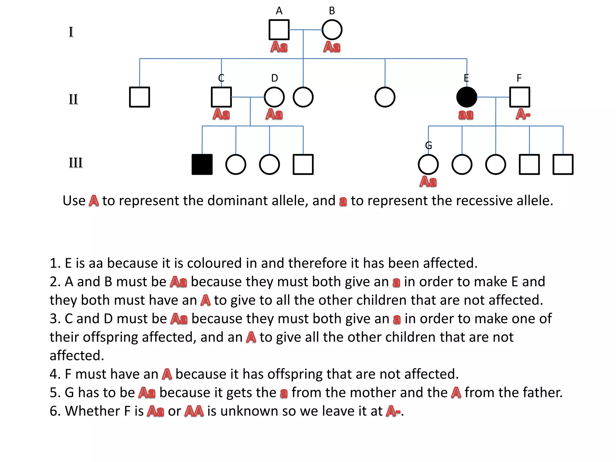 Pedigree Basics! | PPTX