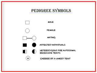 Pedigree Basics! | PPTX