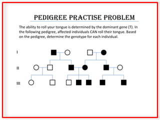 Pedigree Basics! | PPTX