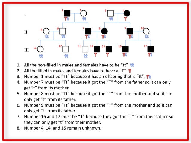 Pedigree Basics! | PPTX | Genetics | Science