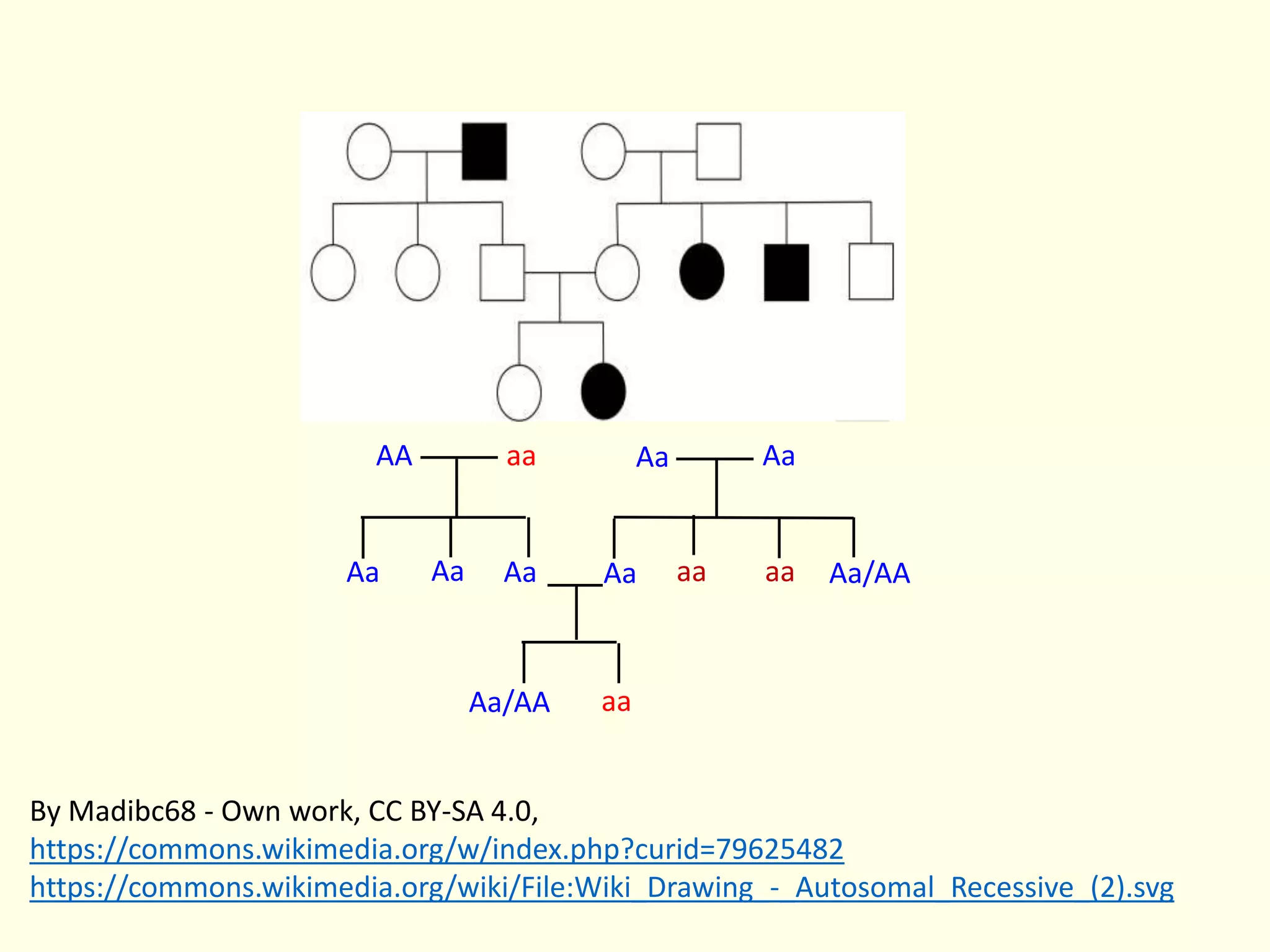 Pedigree Analysis | PPTX