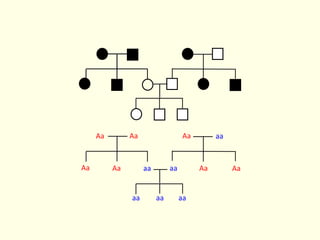 Pedigree Analysis | PPTX