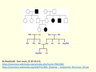 Pedigree Analysis | PPTX