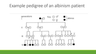 Pedigree chart by mehedi hasan | PPT
