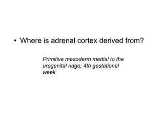 PEDI GU REVIEW embryology i | PPT