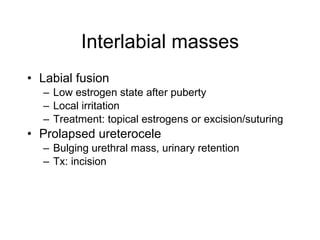PEDI GU REVIEW-External Genitalia | PPT