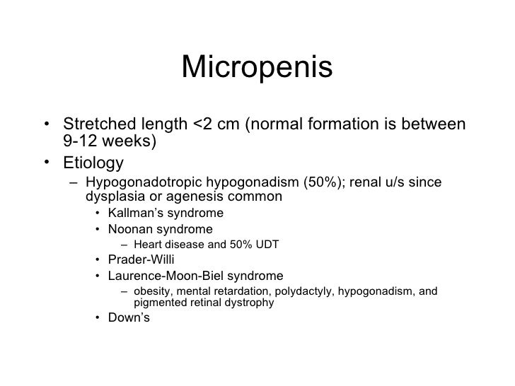 PEDI GU REVIEW-External Genitalia