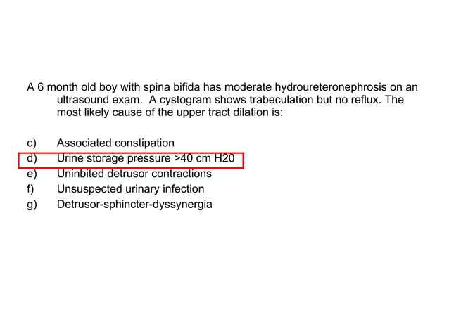 Pedi Gu Review Voiding Dysfunction I Ppt