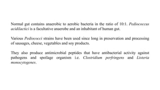 pediococcus.pptx