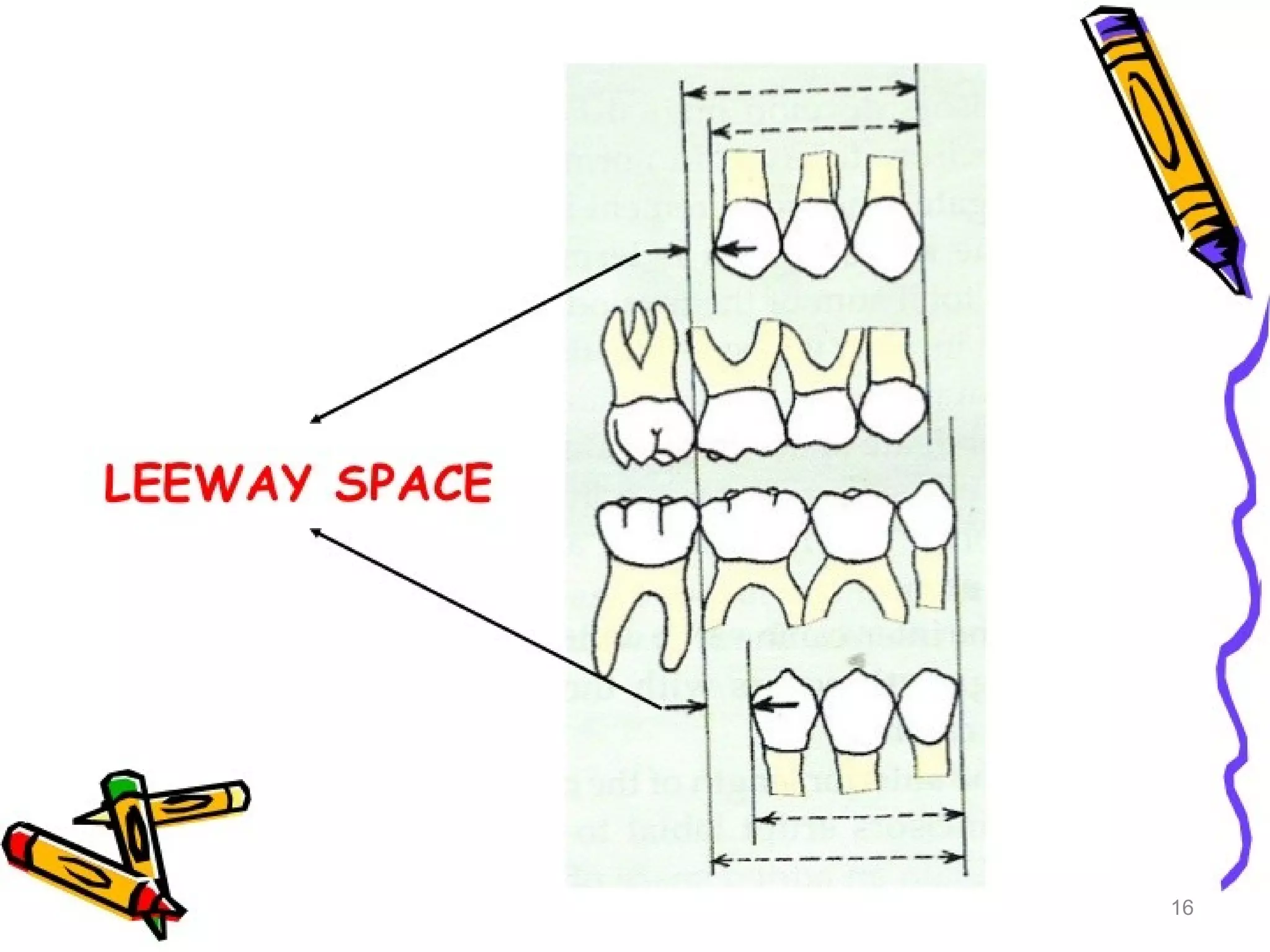 clinical features of mixed dentition period | PPT