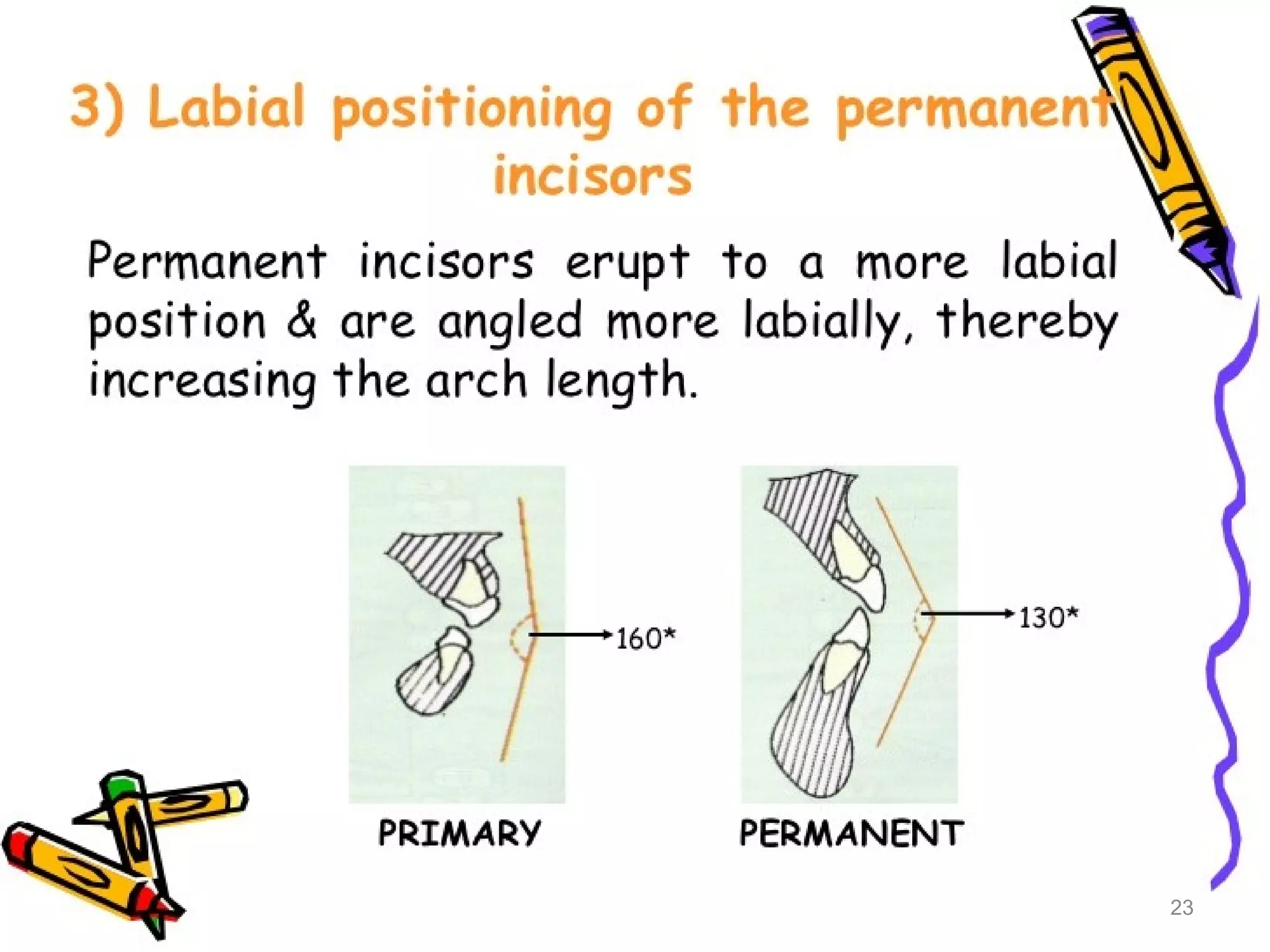 clinical features of mixed dentition period | PPT
