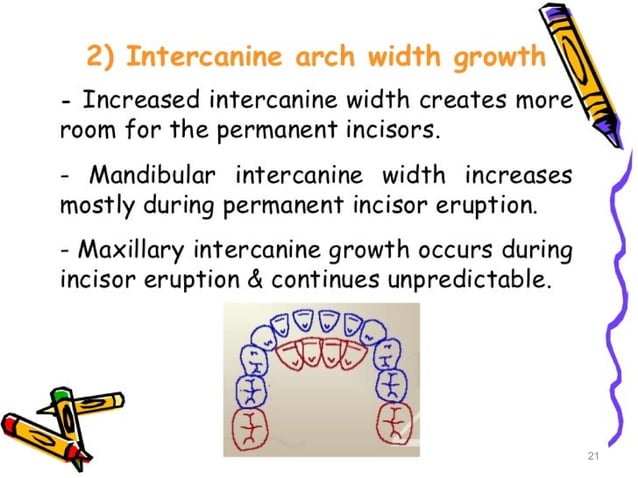 clinical features of mixed dentition period | PPT