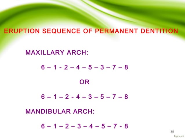 clinical features of mixed dentition period | PPT