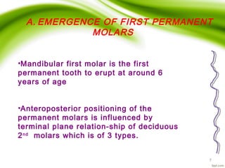 clinical features of mixed dentition period | PPT