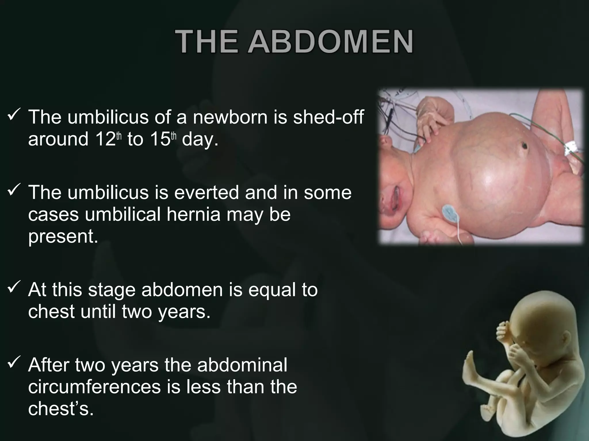 pedological anatomy | PPT