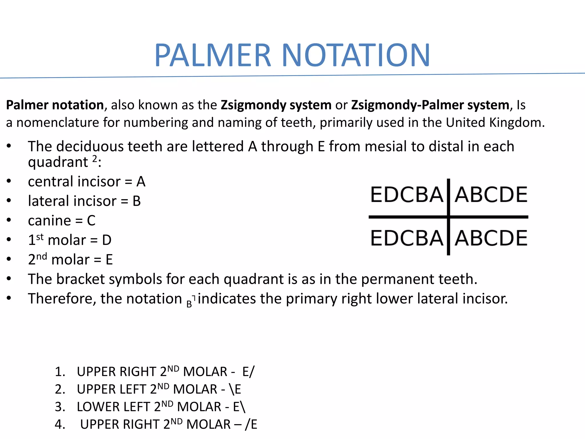 DENTAL ANATOMY OF PRIMARY MAXILLARY AND MANDIBULAR 2ND MOLAR . | PDF ...