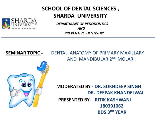 DENTAL ANATOMY OF PRIMARY MAXILLARY AND MANDIBULAR 2ND MOLAR . | PDF ...
